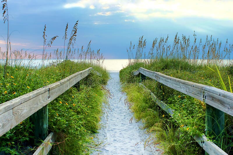 Oceanside Path To a Tropical Beach Stock Image - Image of waves, miami ...