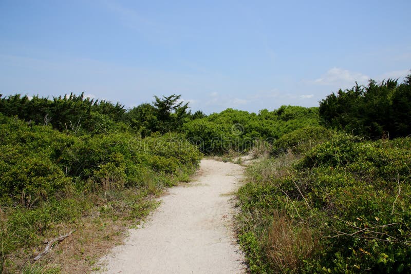 Sandy Path through Vegetation and Dunes Stock Image - Image of ...
