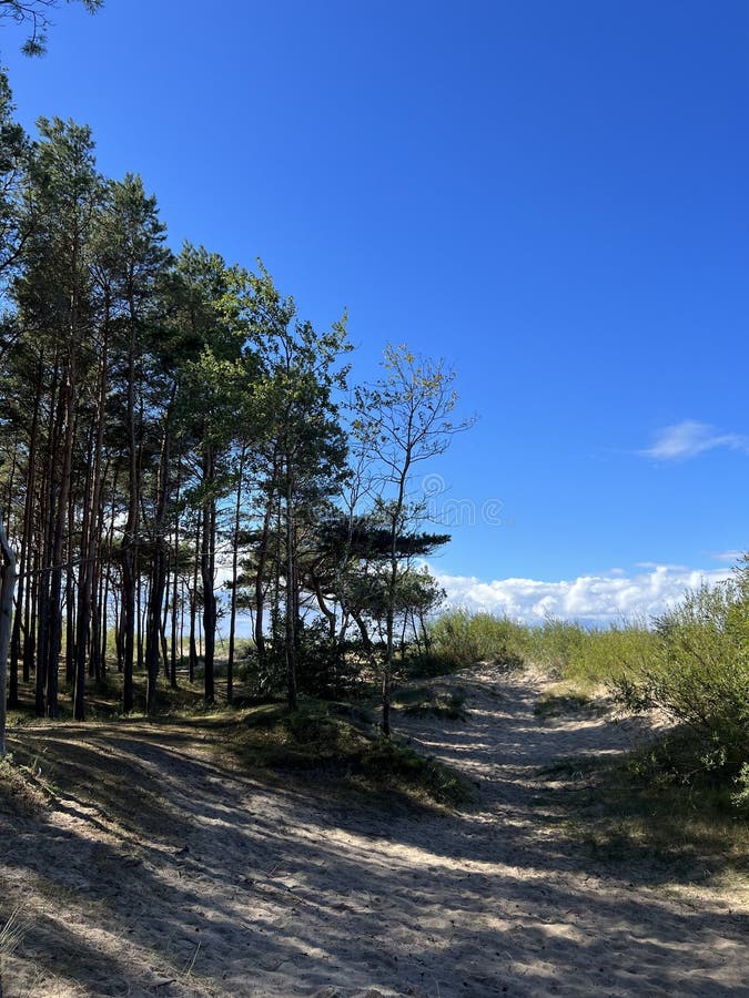 Palanga Baltic Sea Resort Town in Lithuania. Sand Beach Stock Photo ...