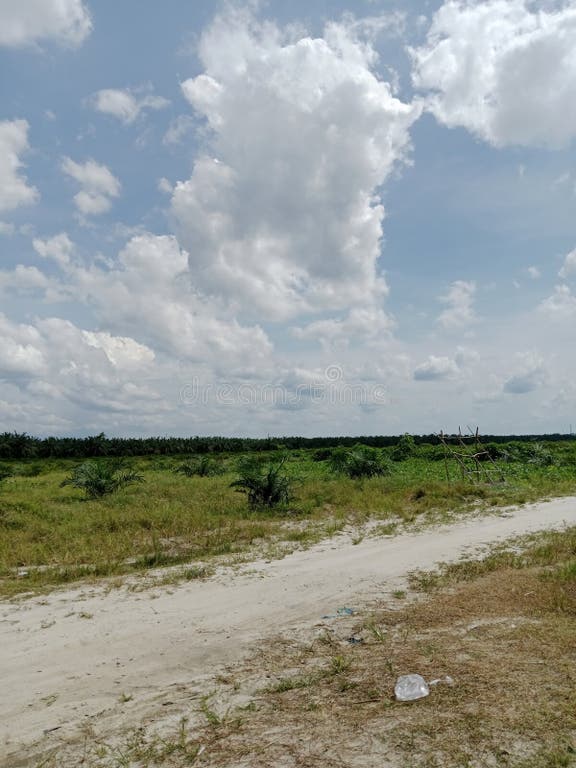 Sandy Paths Cut through Green Fields Under Marshy Skies Stock Photo ...