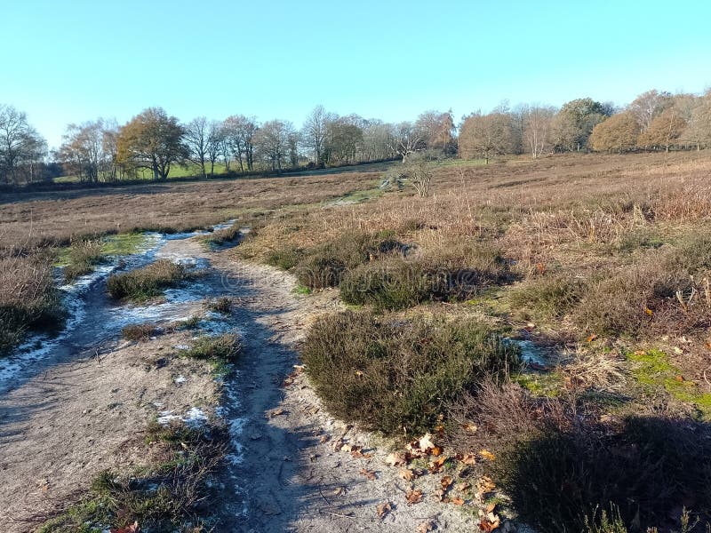 Sandy paths, path ways stock image. Image of field, flower - 264113649