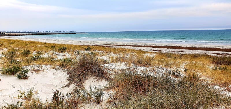 Sandy Pathway on the Beach Surrounded by Bushes Captured during the ...