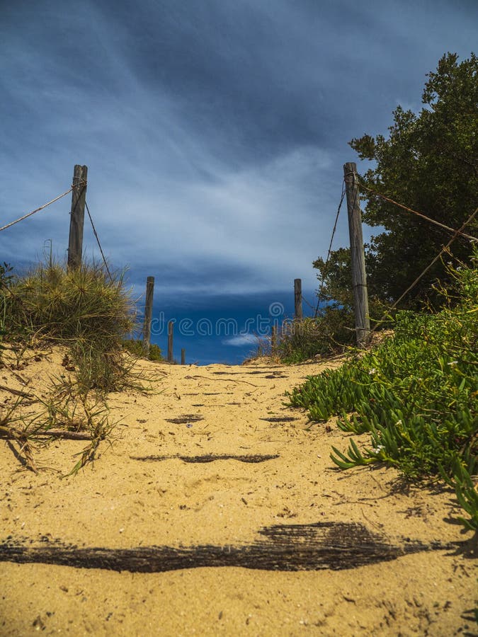 Sand Path Leading To the Beach Stock Photo - Image of clouds, bush ...