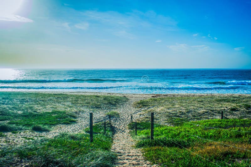 Sandy Pathway Leading To the Beautiful Beach with Calm Blue Waves Stock ...