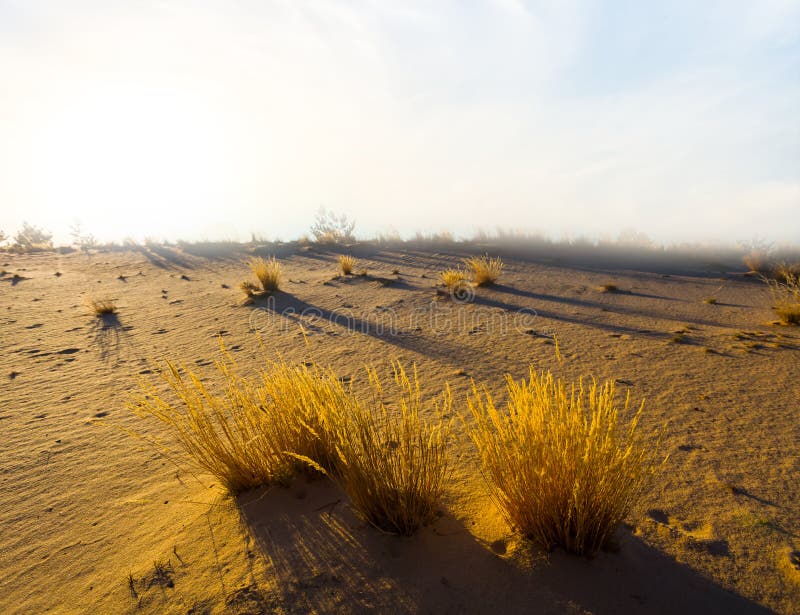 Sandy Prairie at the Sunset Stock Image - Image of boundless, grainy ...