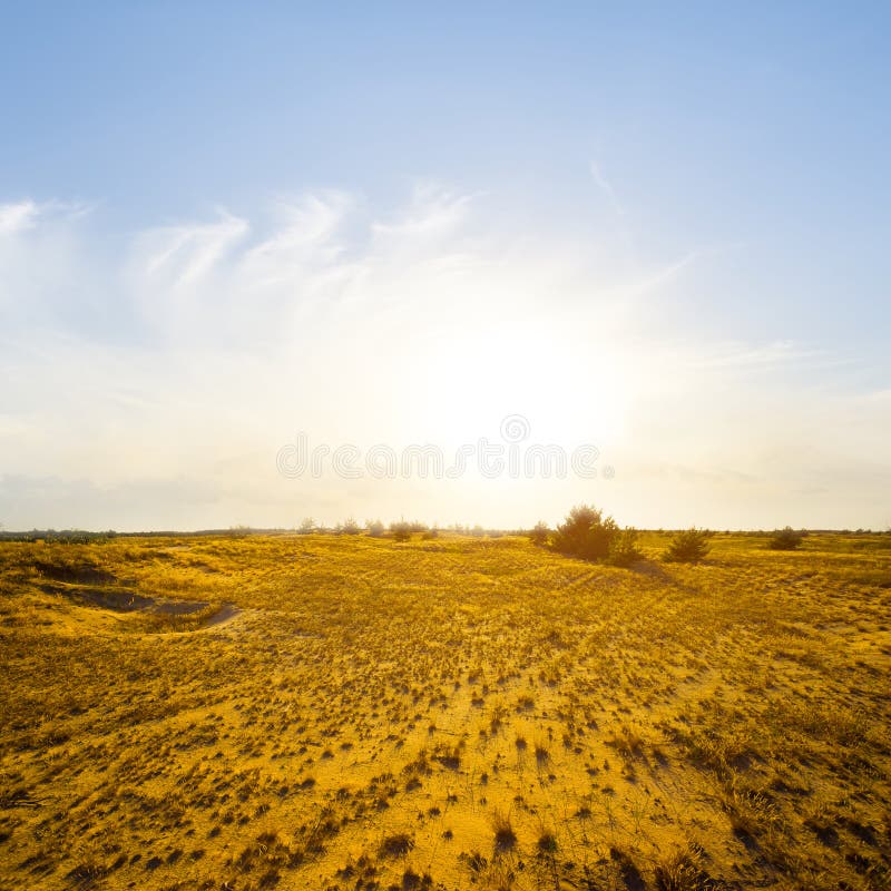 Sandy Prairie at the Sunset Stock Photo - Image of light, sunshine ...