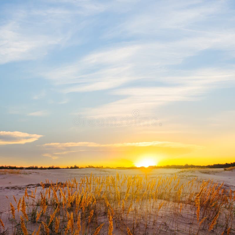 Sandy Prairie at the Sunset Stock Photo - Image of horizon, friable ...