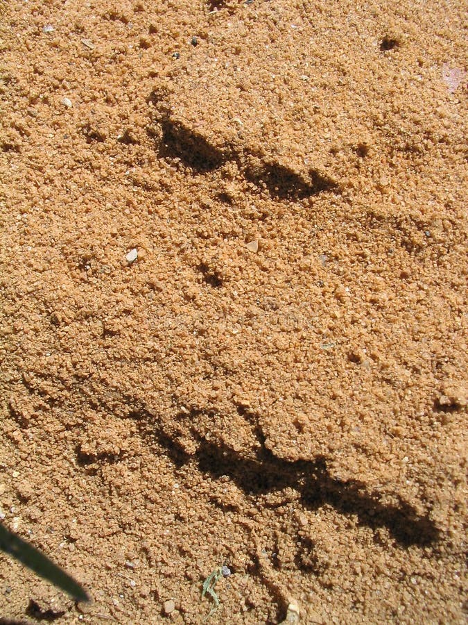 Sandy-Red Dirt stock image. Image of brown, reddish, granules - 97643