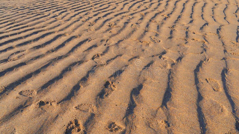Sandy Ripple Texture on a Sunny Beach Stock Photo - Image of brown ...