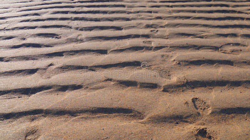 Sandy Ripple Texture on a Sunny Beach Stock Image - Image of ocean ...