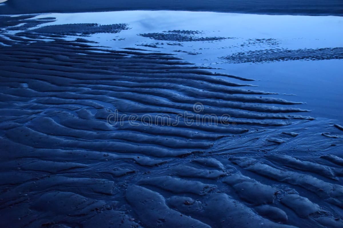 773 Tidal Pool Background Stock Photos - Free & Royalty-Free Stock ...
