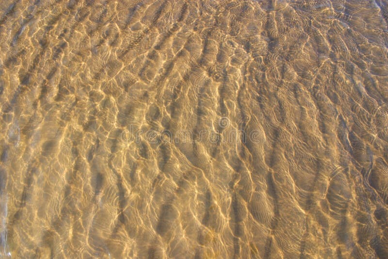 Sandy river bottom stock image. Image of background, cement - 51909651