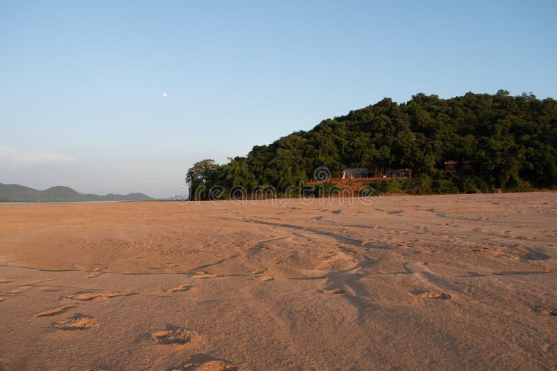 Sandy Riverbed at "mahanadi River Bordered by Forested Land Stock Photo ...