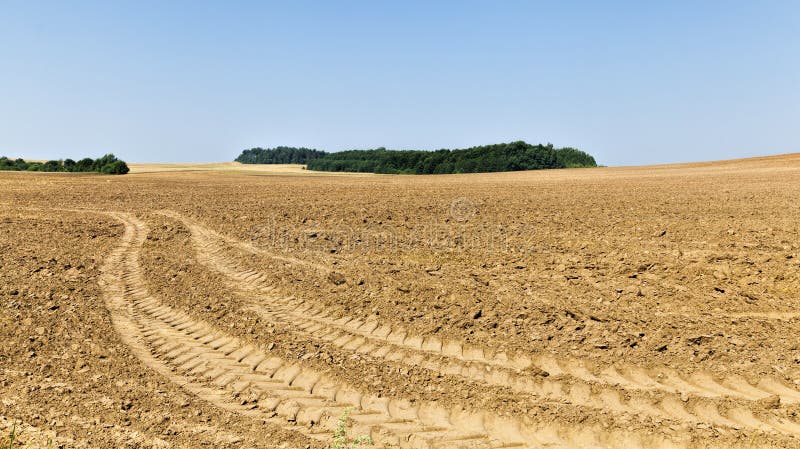 A sandy road stock photo. Image of meadow, plant, woods - 223312152