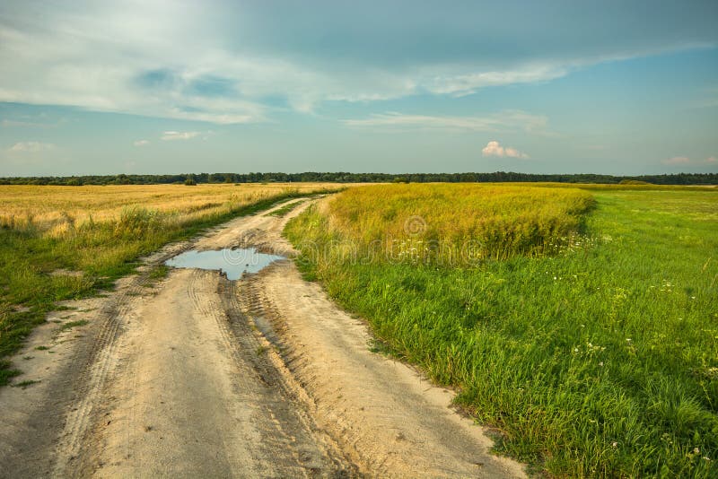 Sandy road through fields stock image. Image of outdoor - 155766899
