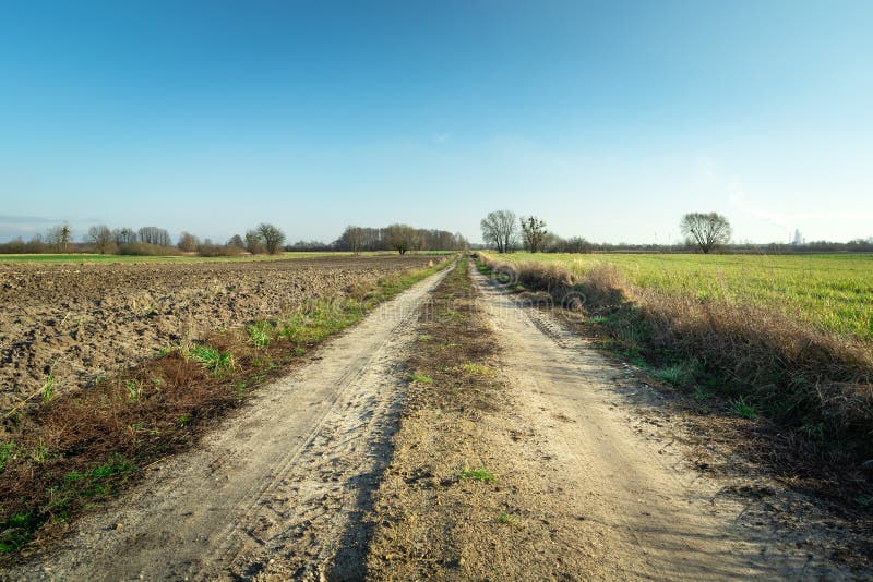A Sandy Road among the Fields Towards the Horizon Stock Photo - Image ...