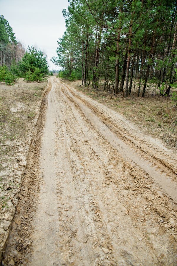 Sandy road in forest stock photo. Image of leaf, park - 92593372