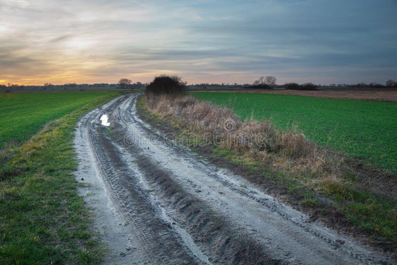 Sandy Road through Green Fields and Sky after Sunset Stock Photo ...