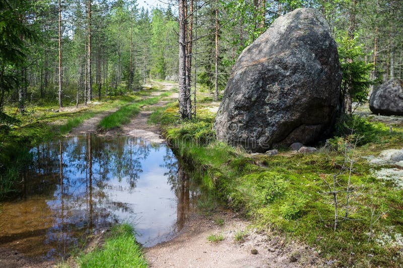 Sandy Road with a Large Puddle and Trees and Sky Reflected in it is in ...