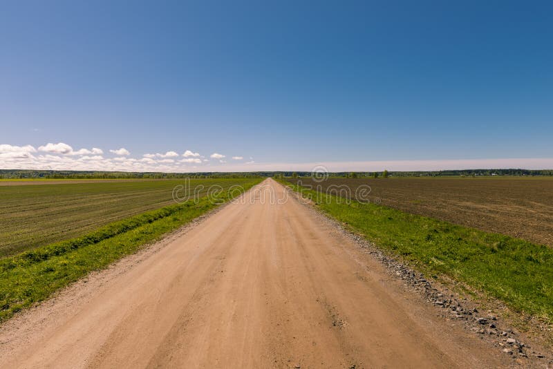 Sandy road stock photo. Image of grassland, daytime, countryside - 56991912