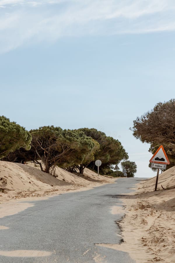 Sandy Road with a Road Sign and Short Bushes Standing Throughout the ...
