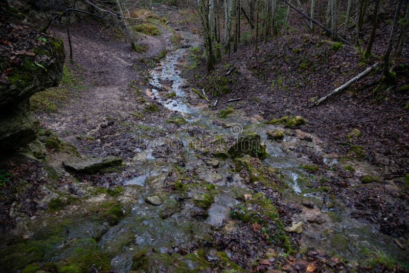 Sandy Rock Along Which Flows a Clear Forest Spring Water Forming a ...
