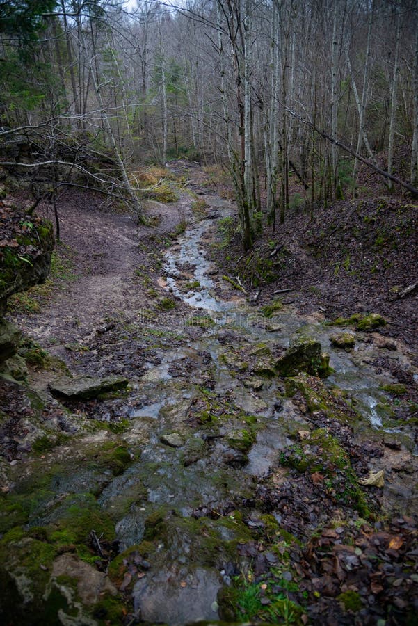 Sandy Rock Along Which Flows a Clear Forest Spring Water Forming a ...