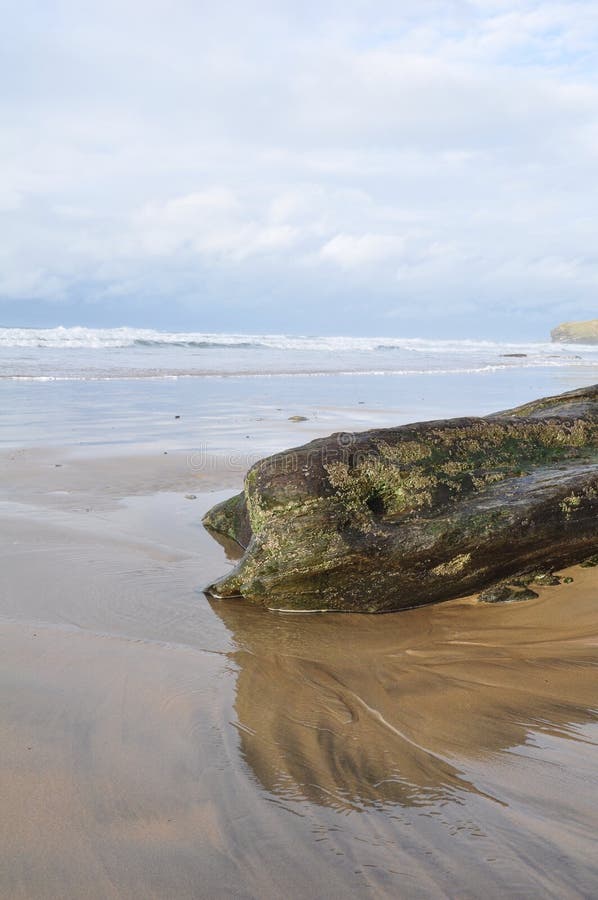 Sandy Rock Along Which Flows a Clear Forest Spring Water Forming a ...