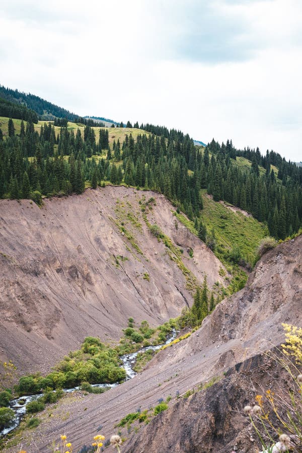 A Sandy Rock with Trees from Below with a Mountain River Stock Photo ...