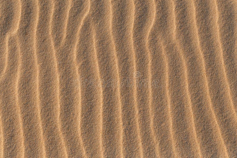 Sandy Sand Background or Backdrop Stock Photo - Image of construction ...