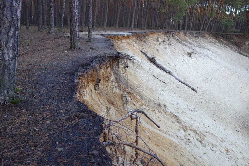 Scarp in the forest stock photo. Image of water, scenery - 66987438