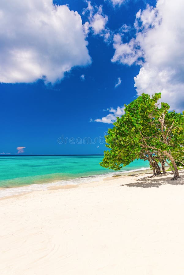Sandy sea beach stock image. Image of ripple, foam, coastline - 162919973