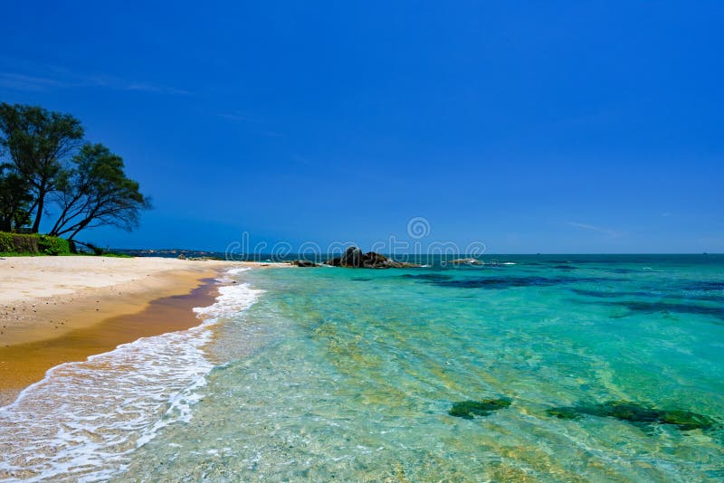 Sandy sea beach stock image. Image of nautical, seashore - 197690063