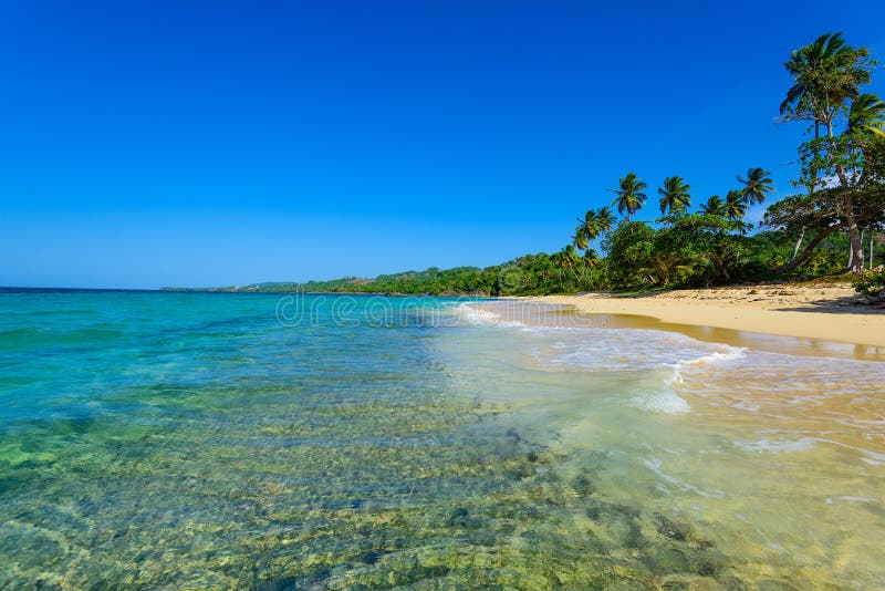 Sandy sea beach stock photo. Image of ripple, seaside - 61604480