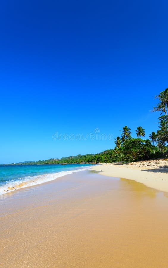Sandy sea beach stock photo. Image of season, seashore - 61604484