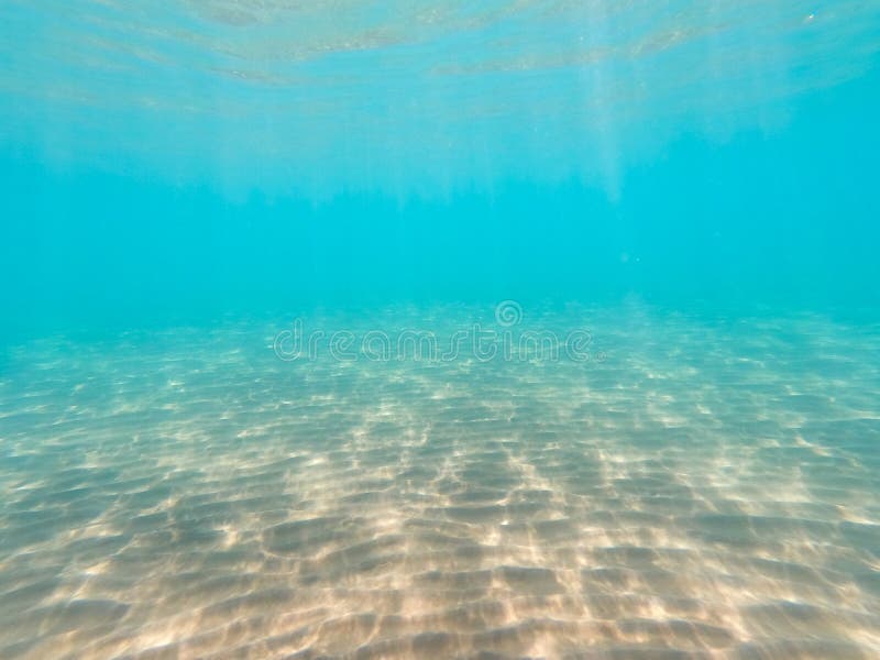 Sandy Sea Bottom Marine Life, Underwater Background. Clear Water ...