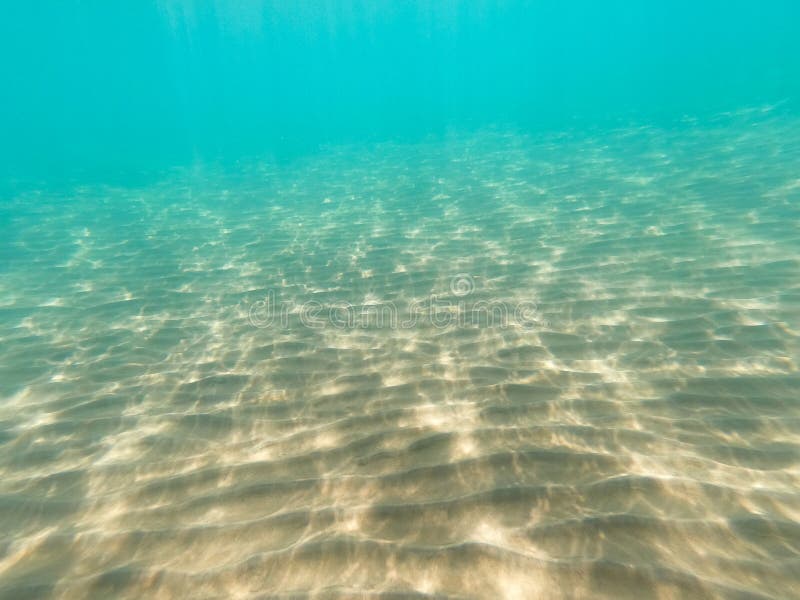 Sandy Sea Bottom Marine Life, Underwater Background. Clear Water ...