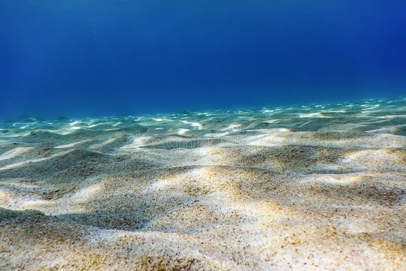 Sandy Sea Bottom Underwater Background Stock Photo - Image of natural ...