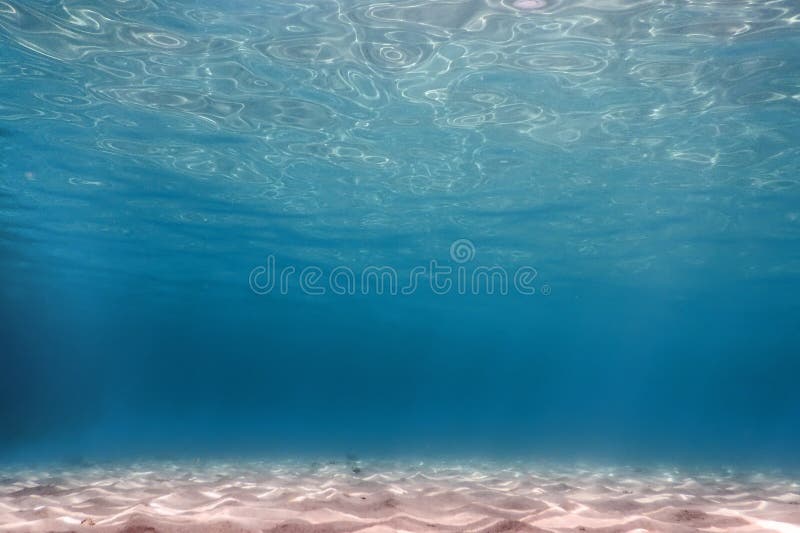 Sandy Sea Bottom Underwater Background Stock Photo - Image of aquatic ...