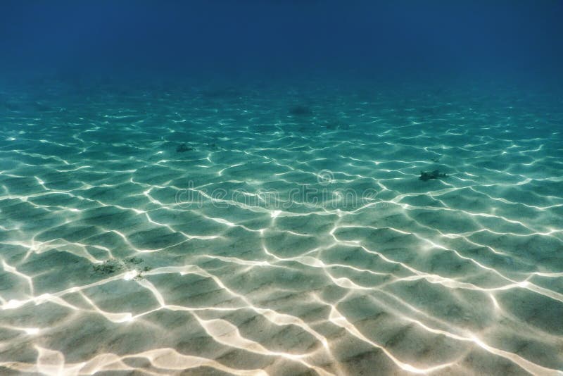 Sandy Sea Bottom Underwater Background Stock Photo - Image of tropical ...