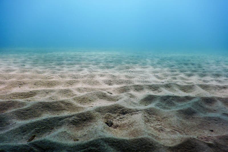Flat Sea Bottom with Areas of Sand and Rock Stock Image - Image of flat ...