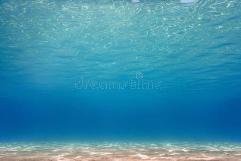 Sandy Sea Bottom Underwater Background Stock Image - Image of pattern ...