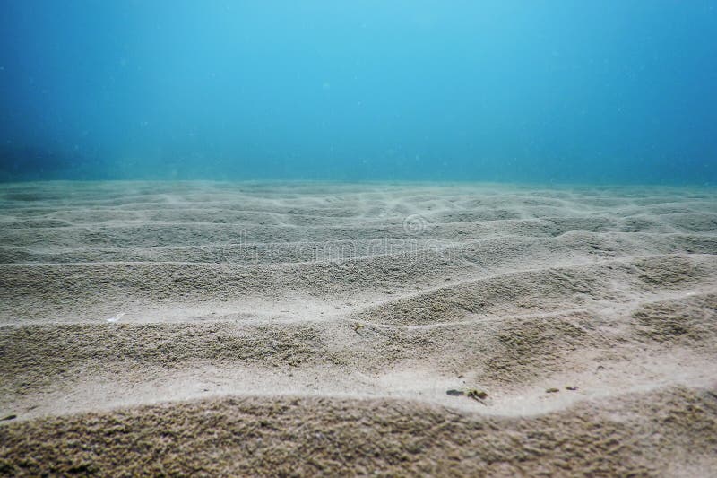 Sandy Sea Bottom Underwater Background Stock Image - Image of nature ...