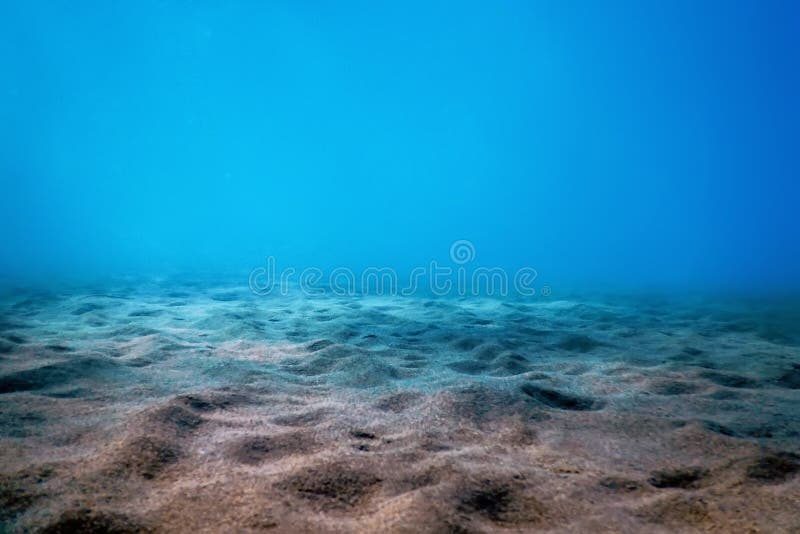 Sandy Sea Bottom, Sea Underwater Stock Photo - Image of ocean, summer ...