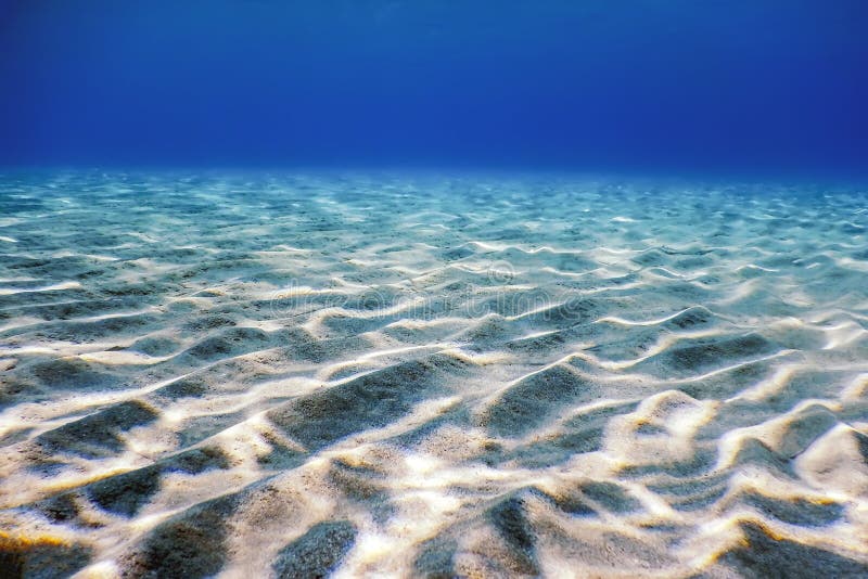 Sandy Sea Bottom Underwater Background, Underwater Blue Ocean Stock ...