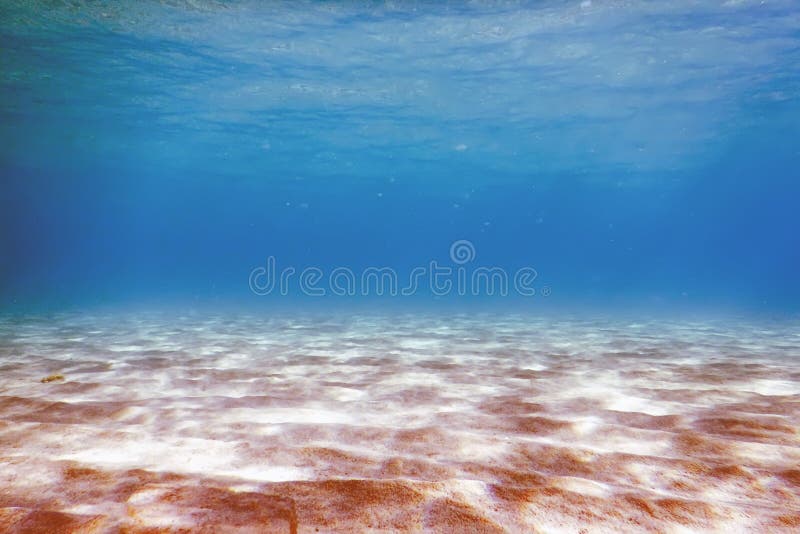 Sandy Sea Bottom Underwater Background Stock Photo - Image of bottom ...