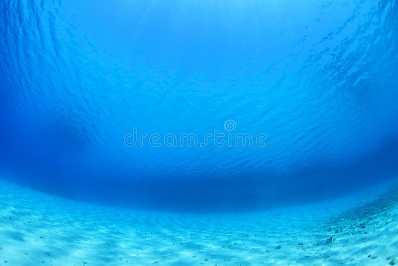 Sandy sea floor stock photo. Image of sand, egypt, deep - 82783182