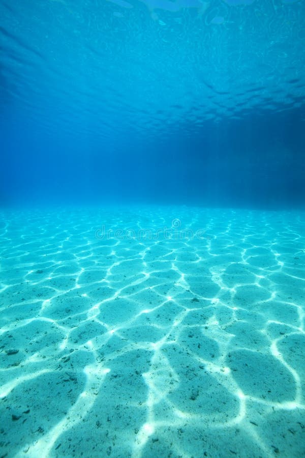 Sandy sea floor stock photo. Image of depth, marine, immersion - 84533896