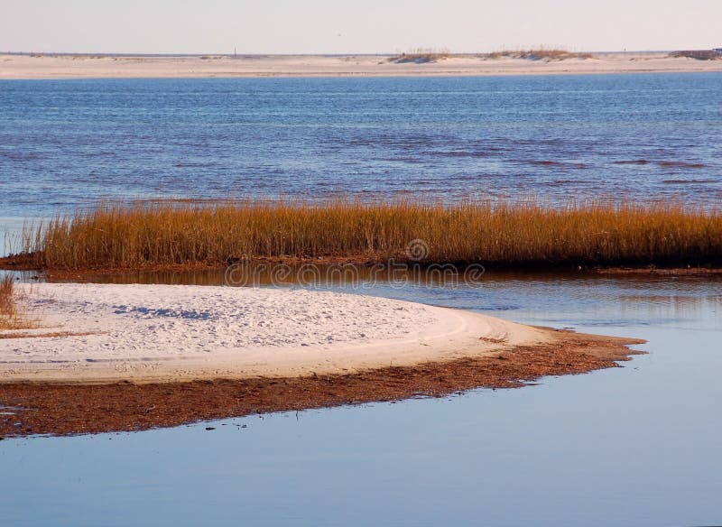 Sandy Sea Marsh stock photo. Image of isolation, grass - 1807154
