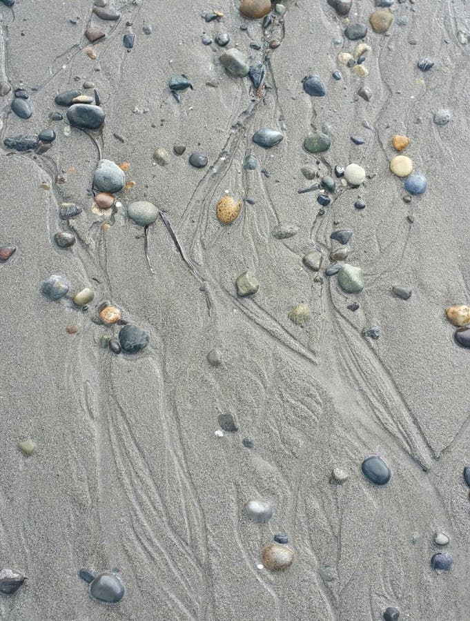 Seattle beach sunset stock image. Image of mother, view - 62371803